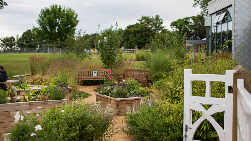 Conwy Libraries | Sensory Garden